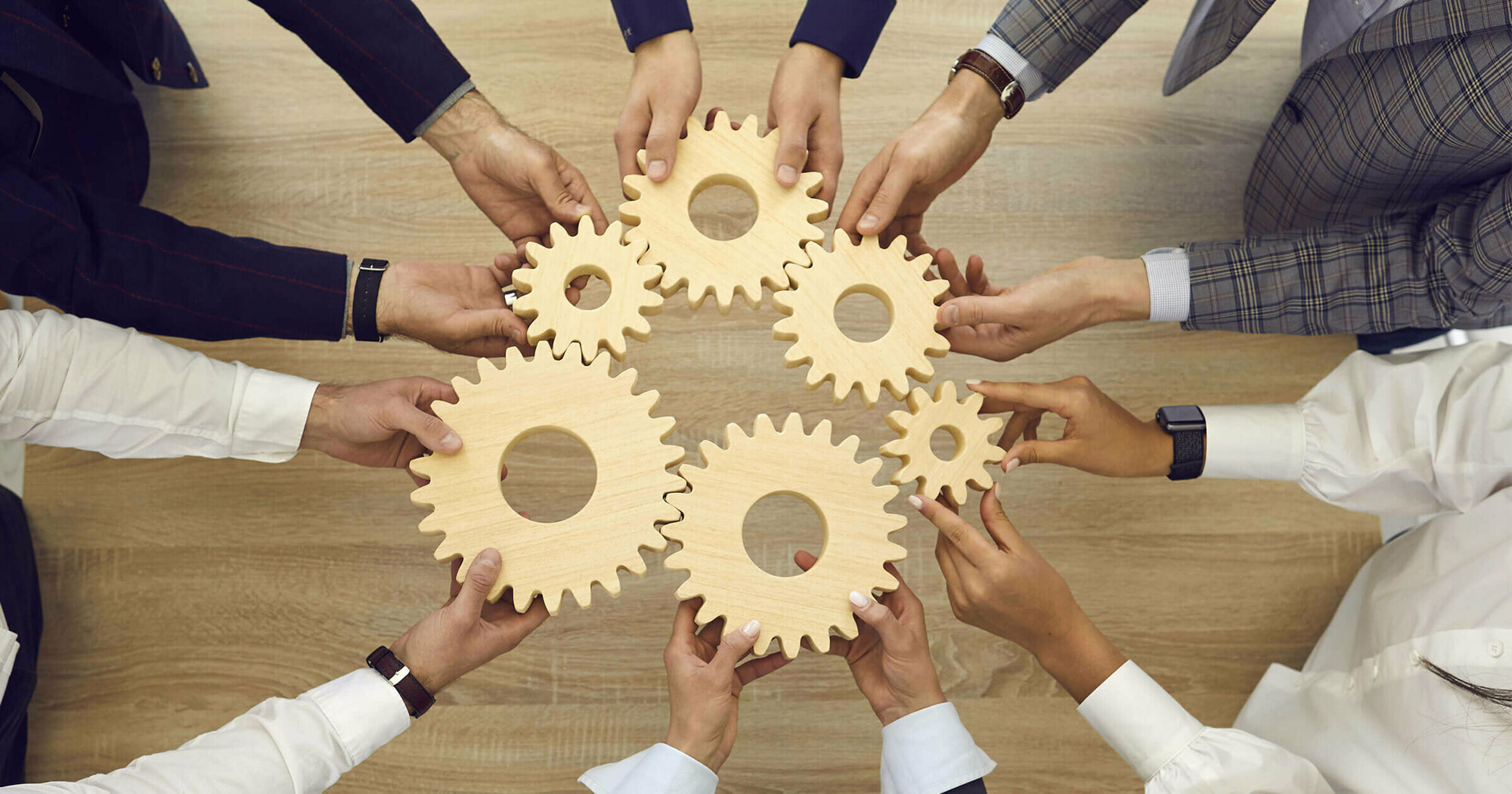 Management Systems & the Ecosystem for Quality | Babtec